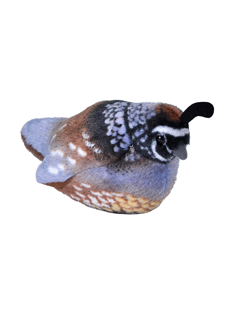 California Quail Stuffed Animal – Ravinia Festival Shop